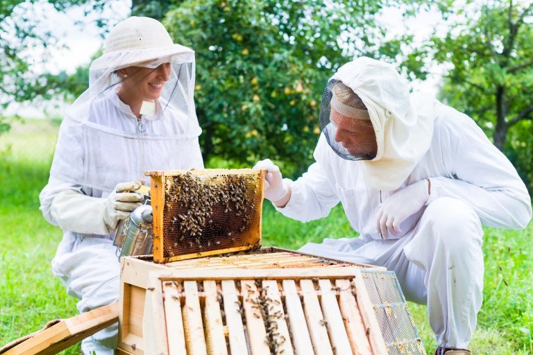 Man’s Lasting Relationship with Bees | Brain Gain Marketing